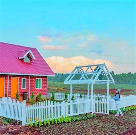 ရွှေမြန်မာ အိမ်ခြံမြေအရစ်ကျရောင်းဝယ်ရေး