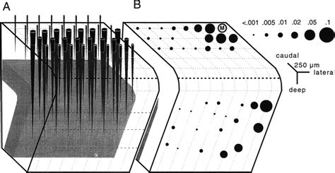 A Diagram Of Multiple Glass Microelectrode Placement For Recording Download Scientific