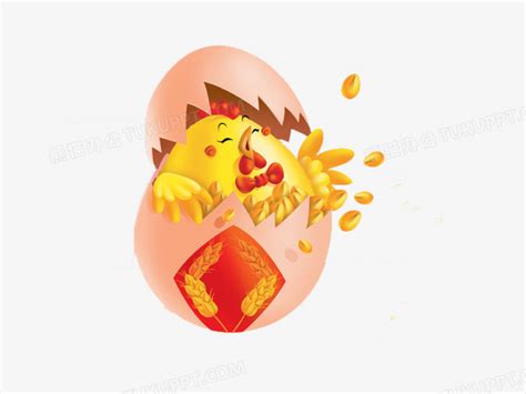 出壳的小鸡PNG图片素材下载 小鸡PNG 熊猫办公