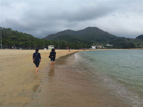 Daum 카페