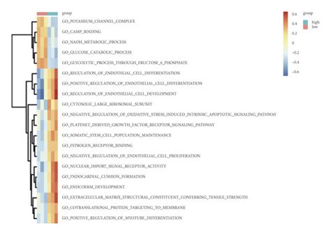 The Gsva Of The Candidate Hub Genes There Existed Gsva Derived