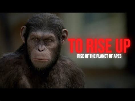 Understanding Caesar Rise Of The Planet Of The Apes Part One
