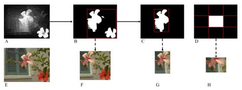 Github Nicoyucn Srgbisa