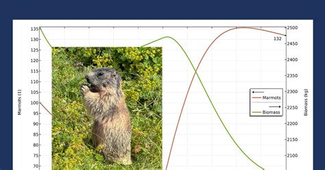 Comsol Inc On Linkedin Solving Delay Differential Equations To Modelmarmots