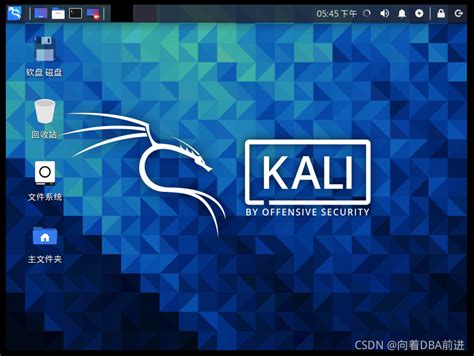 kali linux系统安装及基本配置 kali装机分区名字 csdn博客