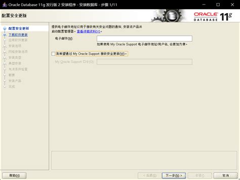win10安装oracle11 2 0 4单实例 oracle windows单子 csdn博客