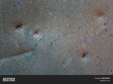 Dented Metal Texture