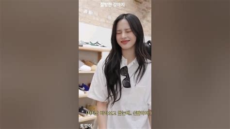 [뉴진스 민지] 장난감 뺏긴 강아지 Youtube