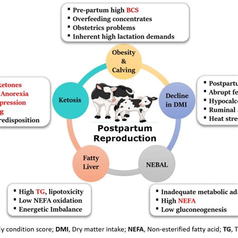 Pdf Major Nutritional Metabolic Alterations Influencing The