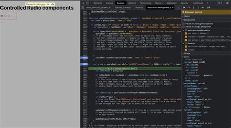 Bug Input Of Type Radio Component Cant Be Controlled With An Internal State · Issue 25726