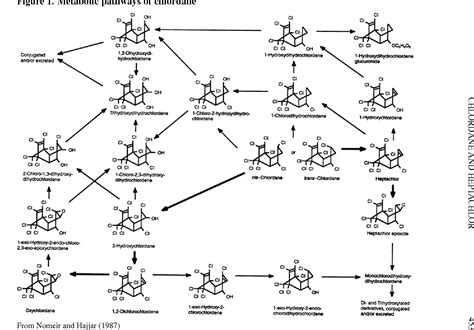Figure 1 From Chlordane And Heptachlor Semantic Scholar
