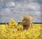 My Undo Button Is Gone R Krita