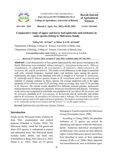 Pdf Comparative Study Of Upper And Lower Leaf Epidermis