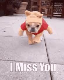 Miss You Funny S Tenor