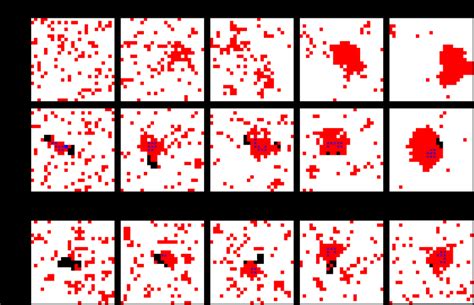 Lattice Gas Phase Diagram Phase Diagram Of The 2d Lattice Ga