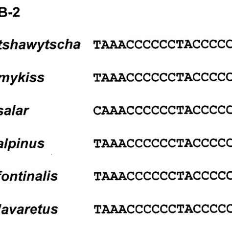 Sequences Of The Peptide Coding Orf In The 16s Ribosomal Rna Of The O