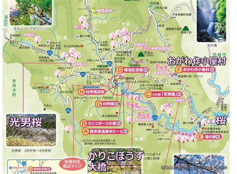 西米良村 桜 ソメイヨシノ とかりこぼうず大橋 日々ブログ MORIMORI 宮崎県