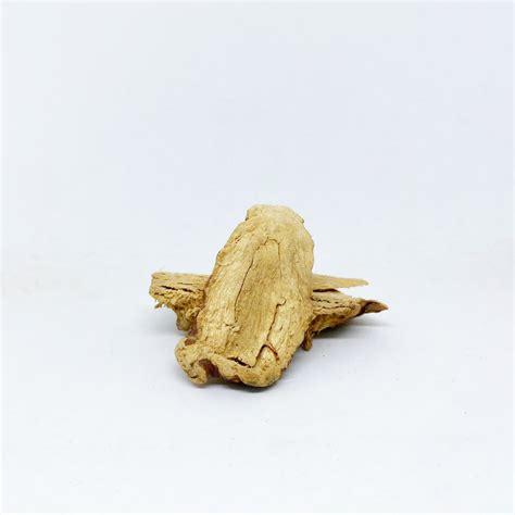Galangal Root 200 g., Сушеный корень галангала 200 гр. – K&P Tropical ...