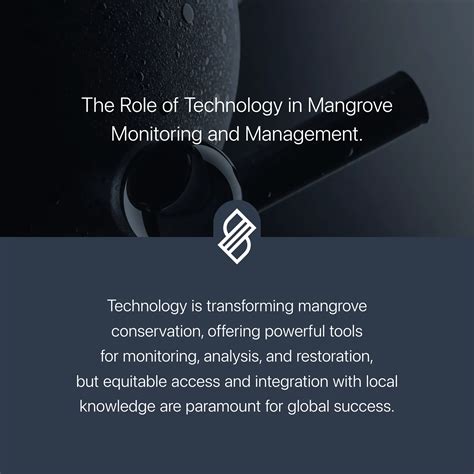 The Role Of Technology In Mangrove Monitoring And Management → Scenario