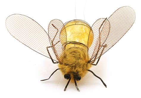 Bee Nucleus Art Gallery And Store