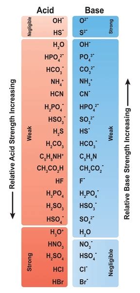 Acid Base Buffer Over 10 Royalty Free Licensable Stock Vectors And Vector Art Shutterstock