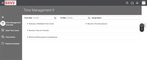 How Can We Check The Time Overview Same As Classical View In Enhance Time Card View — Cloud