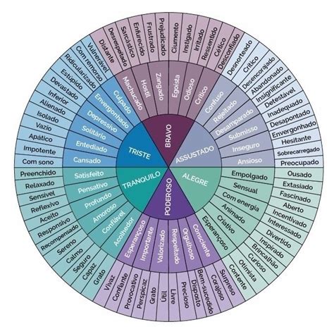 Roda Das Emocoes • Lei Do Universo Artofit