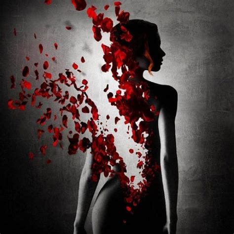 Sex Passion And Love Package Vibrant Transformation