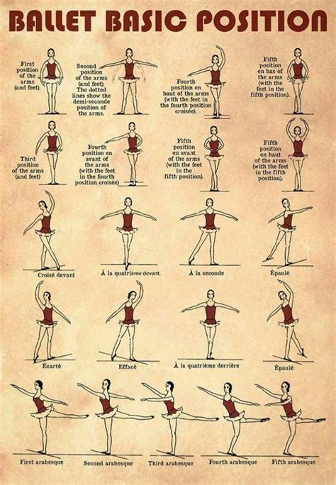 Pin By Timi Patric On Pins By You Ballet Basics Ballet Technique