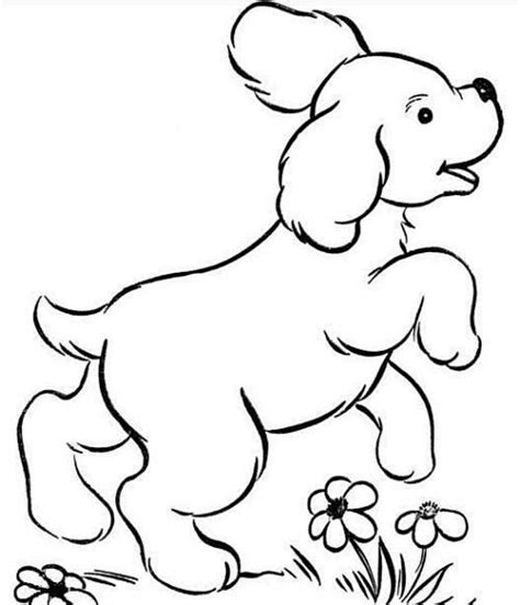 简笔画动物百度图片搜索