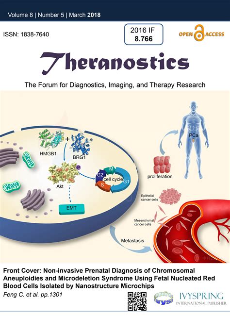 Theranostics 南方医科大学南方医院 科技论文配图 医学动画 动画宣传片 三维动画制作 北京中科幻彩