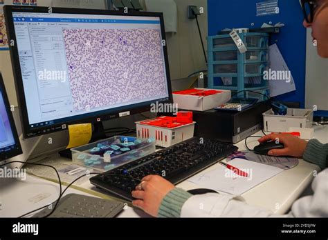 Medical Analysis Laboratory Biomedical Analysis Technicians Stock