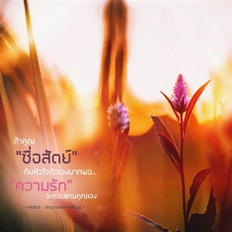 จงซื่อสัตย์กับหัวใจ Life Quotes Best Quotes Quotes