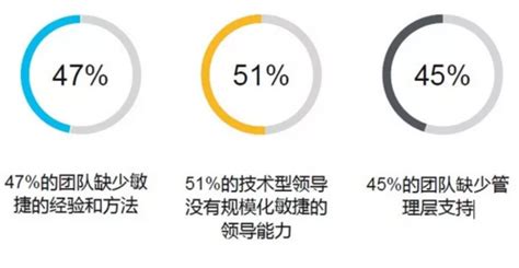 睿思得咨询：全球领先的敏捷评价标准——aph敏捷成熟度模型