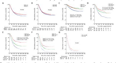 Figure 1 From Validation Of Clinical Significance Of Examined Lymph