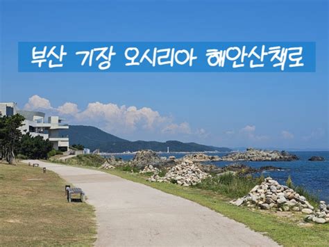 부산 기장 오시리아 해안산책로 바닷가 고양이들과 힐링and 물놀이한 데이트코스 네이버 블로그