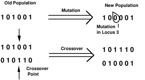 23 Genetic Operations Download Scientific Diagram