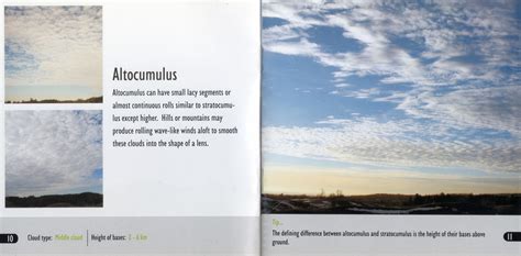 Phil Chadwick S Art Cloud Identification