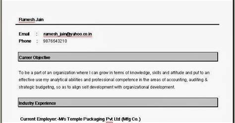 Simple Resume Format In Word