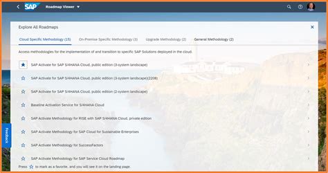 Naming And Tracking Your Business Roles Spaces An Sap Community