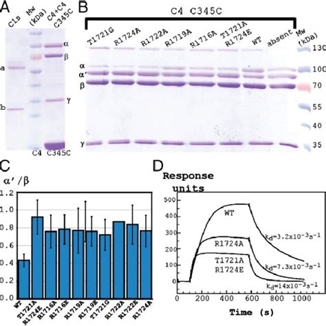 Role Of C4 In The Complement System The Structure Of C4 And Its Download Scientific Diagram