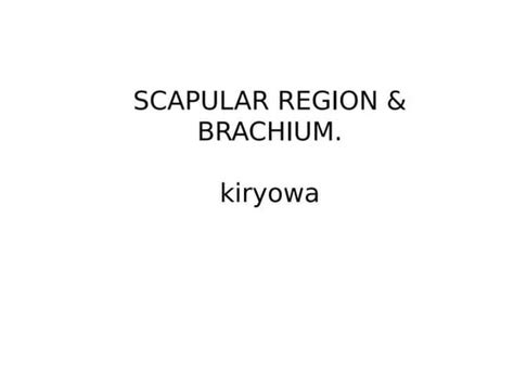 Brachial Plexus 2023 Pdf