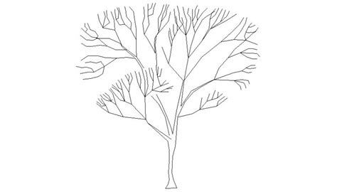 CAD Drawing Of Trees And Plants 2d View Shown In Autocad Software