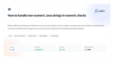 How To Handle Non Numeric Java Strings In Numeric Checks Labex