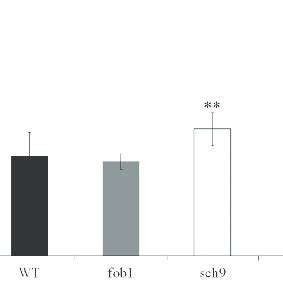 Comparison Of Average Doubling Time During Repro Duction Of The Download Scientific Diagram