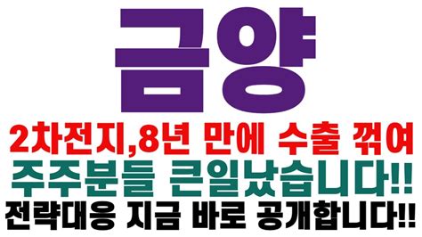 금양 긴급속보 2차전지8년 만에 수출 꺾여주주분들 큰일났습니다전략대응 지금 바로 공개합니다 Youtube