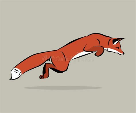 Jumping Fox Stock Vector Illustration Of North Editable 29491453