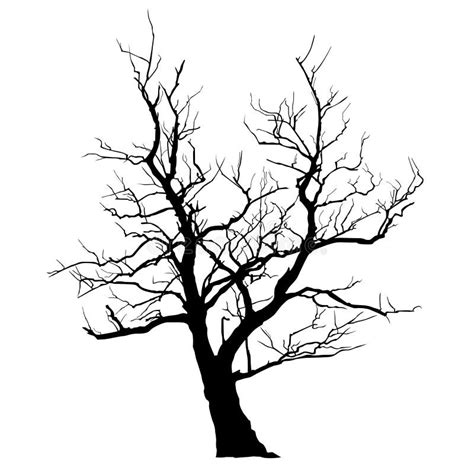 Dead Abstract Tree Stock Vector Illustration Of Intricacy 41321531