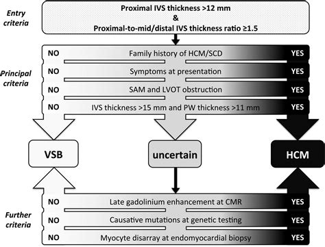 Distinguishing Ventricular Septal Bulge Versus Hypertrophic