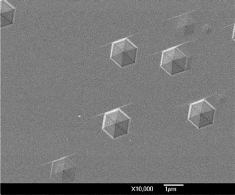 Sem Image Of The Free Standing Gan Layer Showing A Dislocation Density Download Scientific